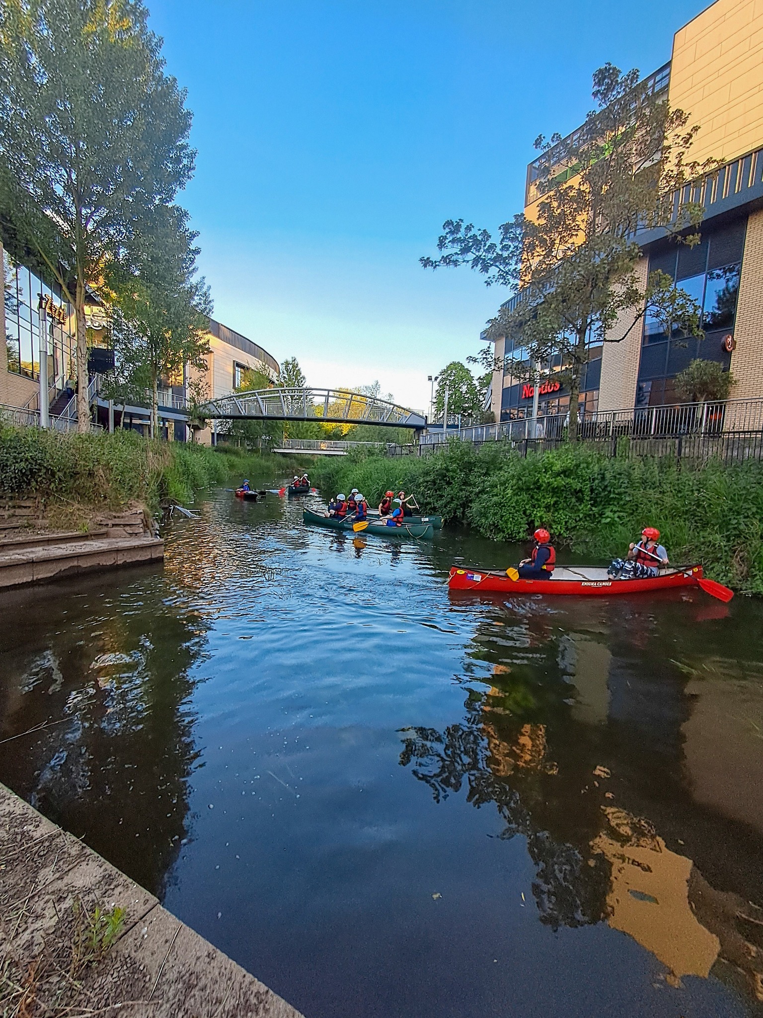 Litter Picking Action | 4th Stafford Scout Group